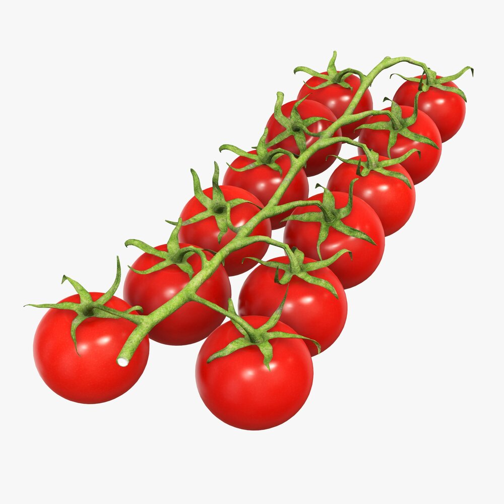 Tomato Cherry Red Small Branch 02 3D model - Download Vegetables on ...