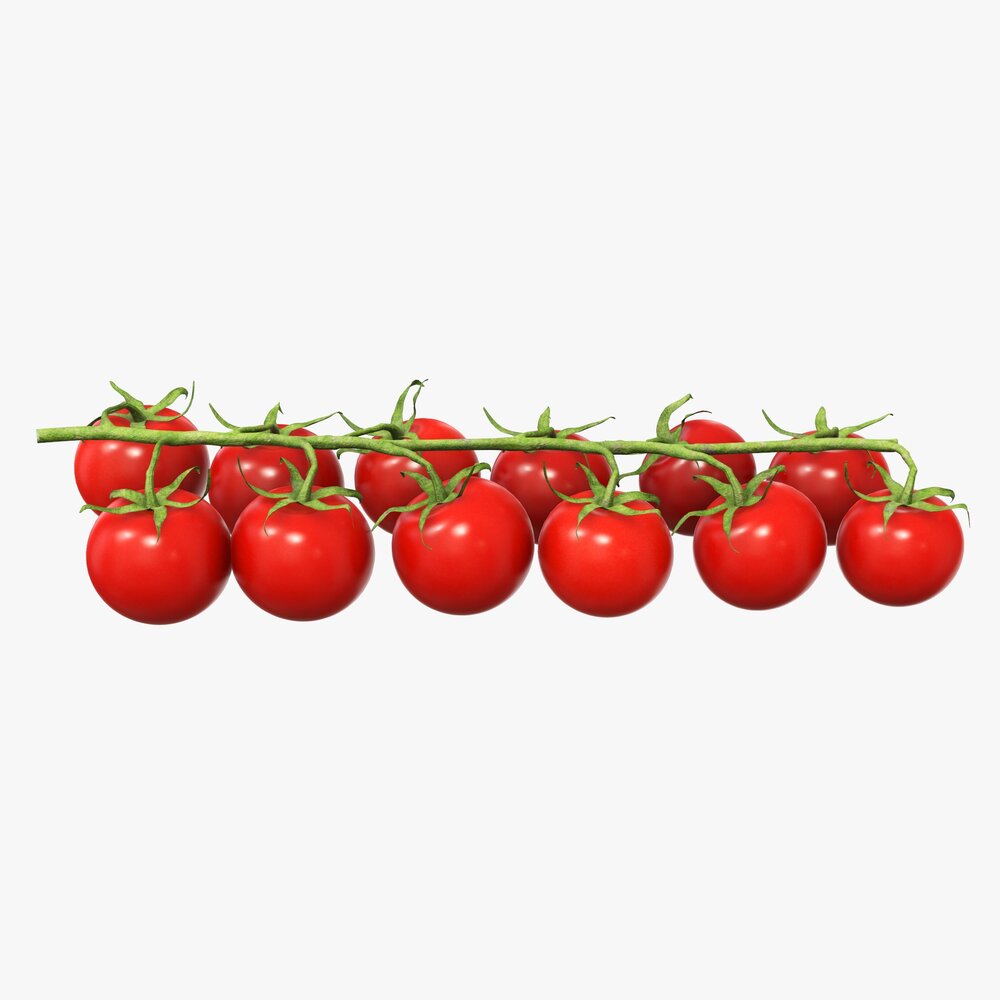 Tomato Cherry Red Small Branch 02 3D model - Download Vegetables on ...