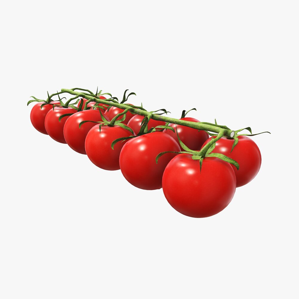 Tomato Cherry Red Small Branch 02 3D model - Download Vegetables on ...