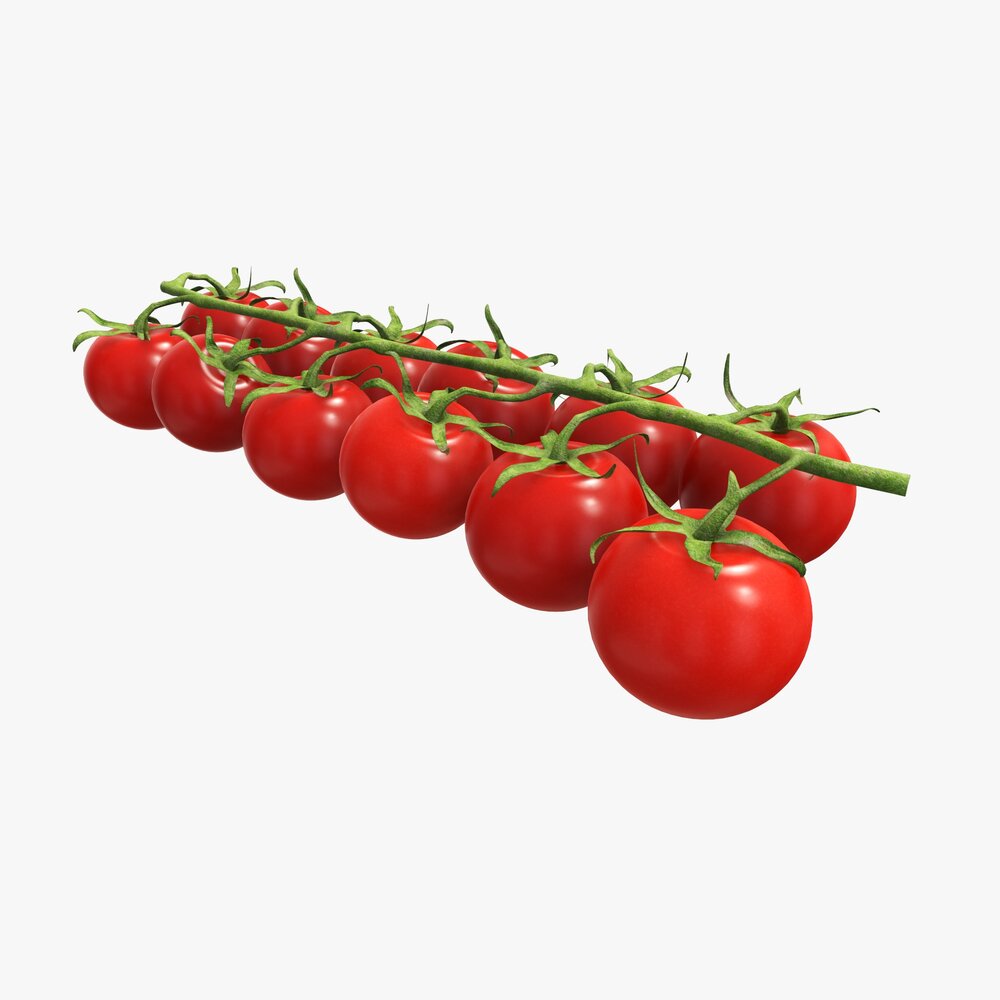 Tomato Cherry Red Small Branch 02 3D model - Download Vegetables on ...