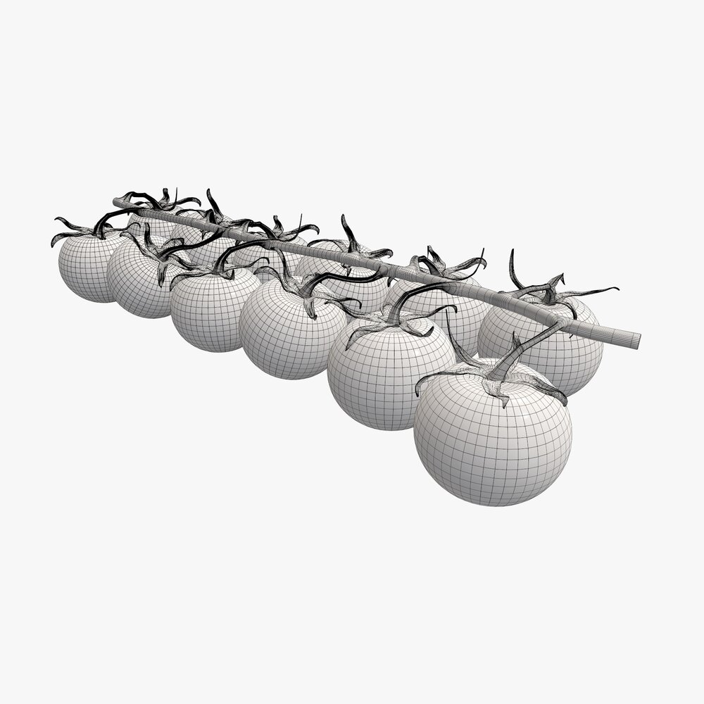 Tomato Cherry Red Small Branch 02 3D model - Download Vegetables on ...