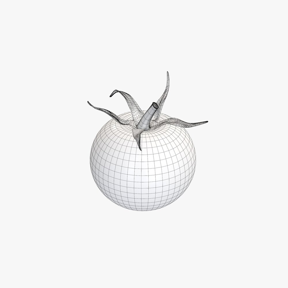 Tomato Cherry Red Small Single With Pedicel Sepal 3D model - Download ...