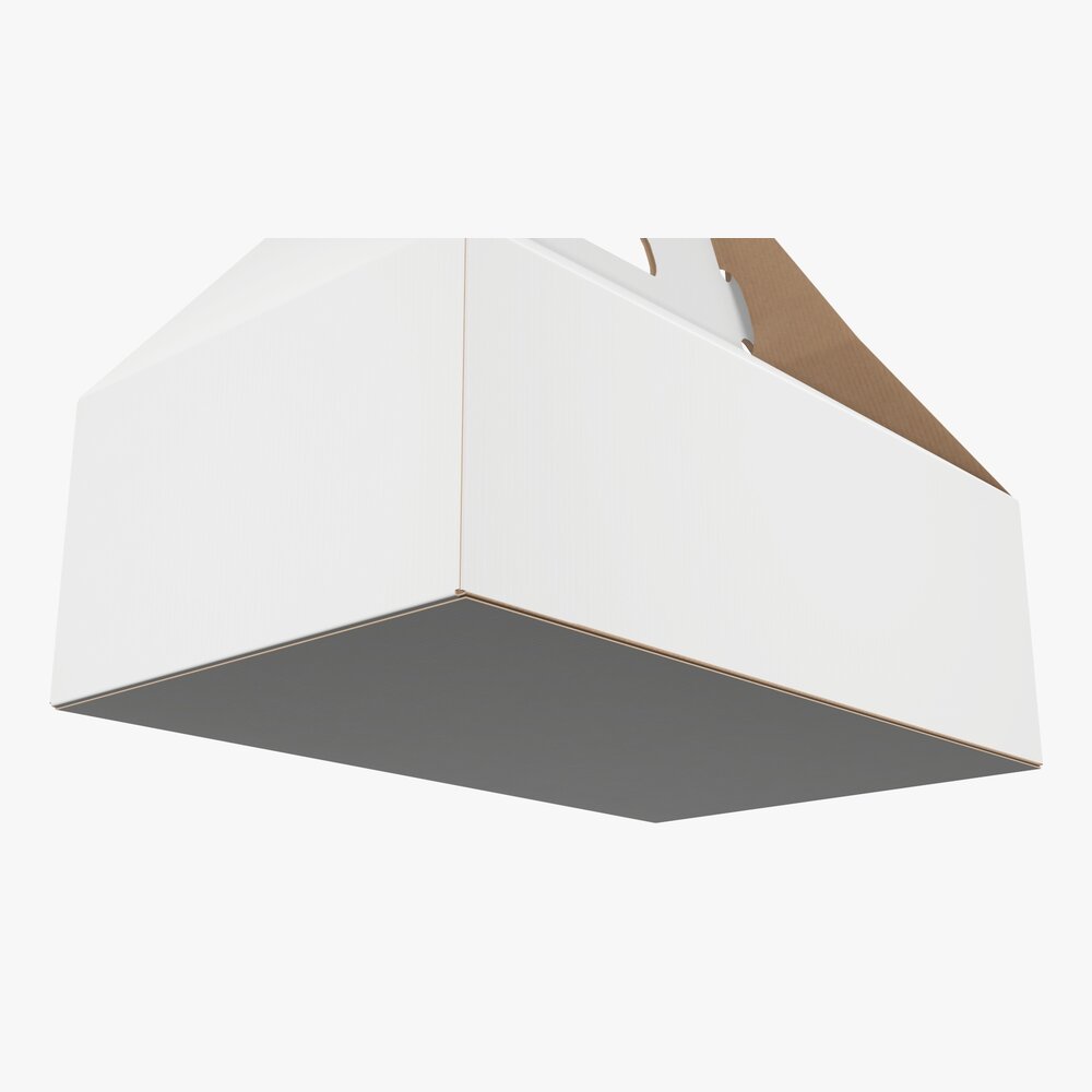 Cake Carrier Cardboard Corrugated Box 3D model - Download Mockup on ...