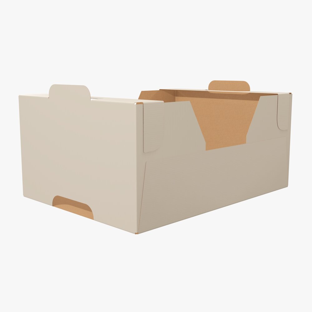 Cardboard Retail Tray Box 01 3D 모델 - 다운로드 식품 포장 모형 on 3DModels.org