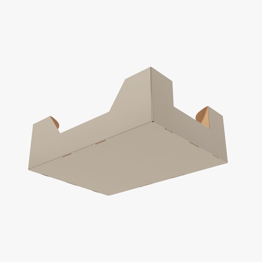 Cardboard Retail Tray Box 02 3D model - Download Mockup on 3DModels.org