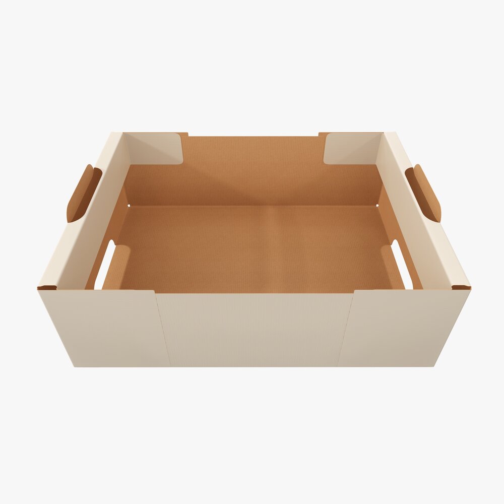 Cardboard Retail Tray Box 05 3D model - Download Mockup on 3DModels.org