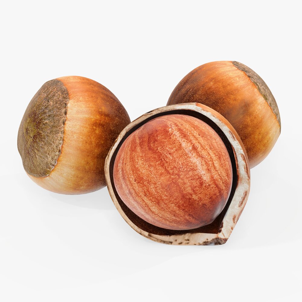 Hazelnuts 01 3D model - Download Nuts on 3DModels.org
