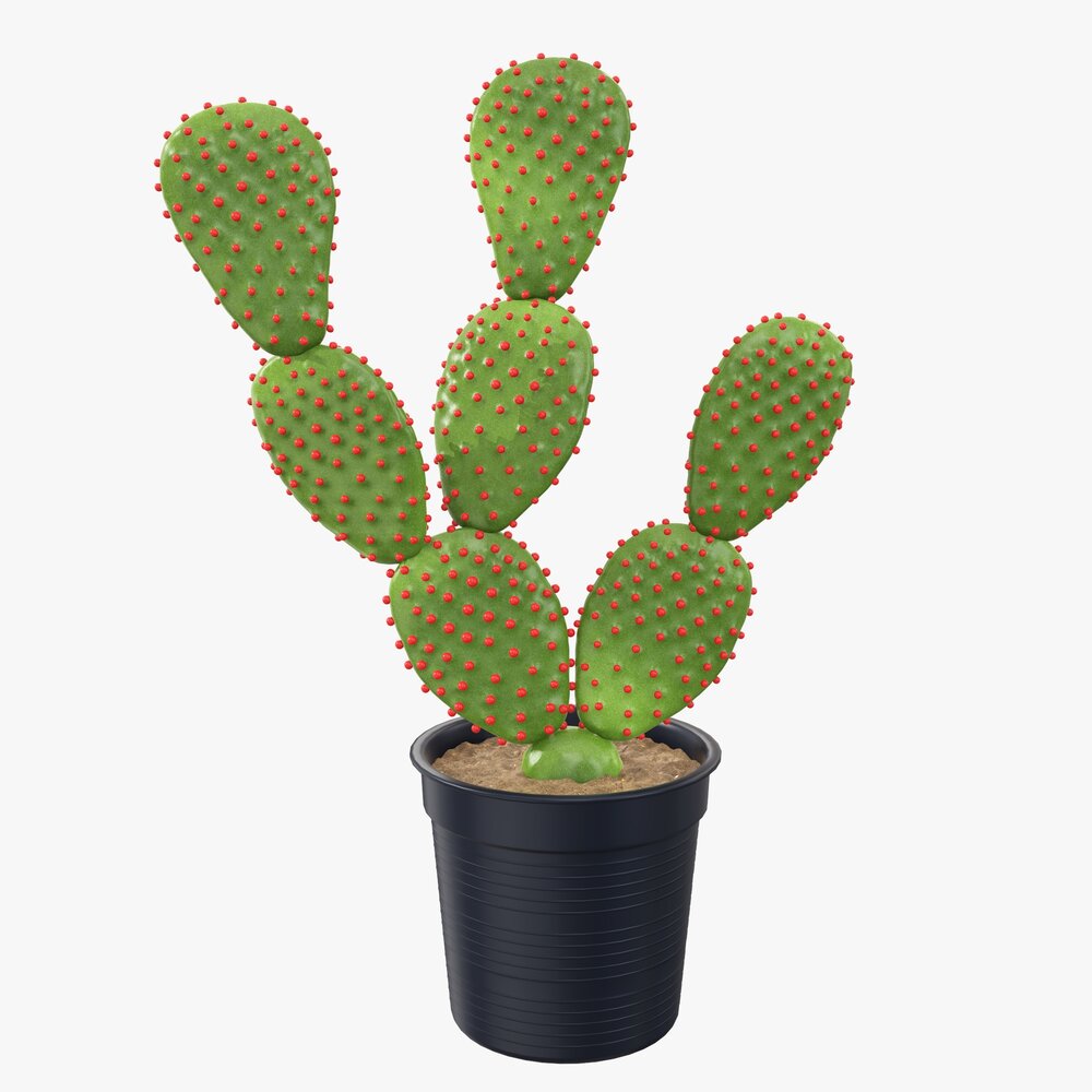Cactus In Black Plastic Pot 3D model - Download Houseplants on 3DModels.org