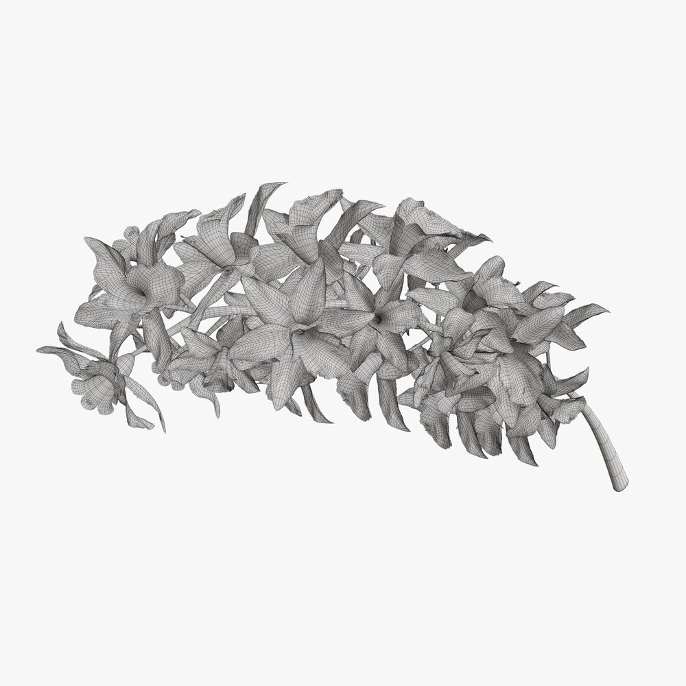 Orchid Branch With Flowers 3D model - Download Flowers on 3DModels.org