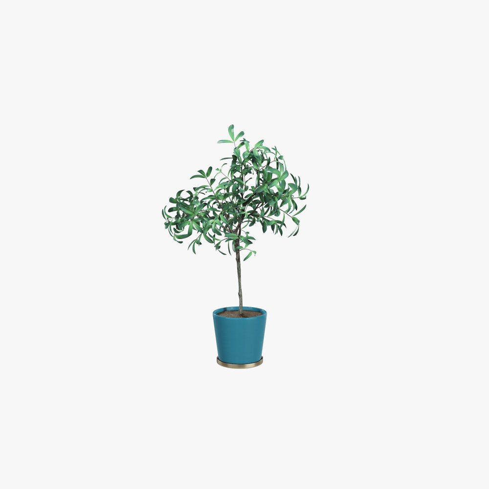Potted Decorative Tree 3D model - Download Houseplants on 3DModels.org