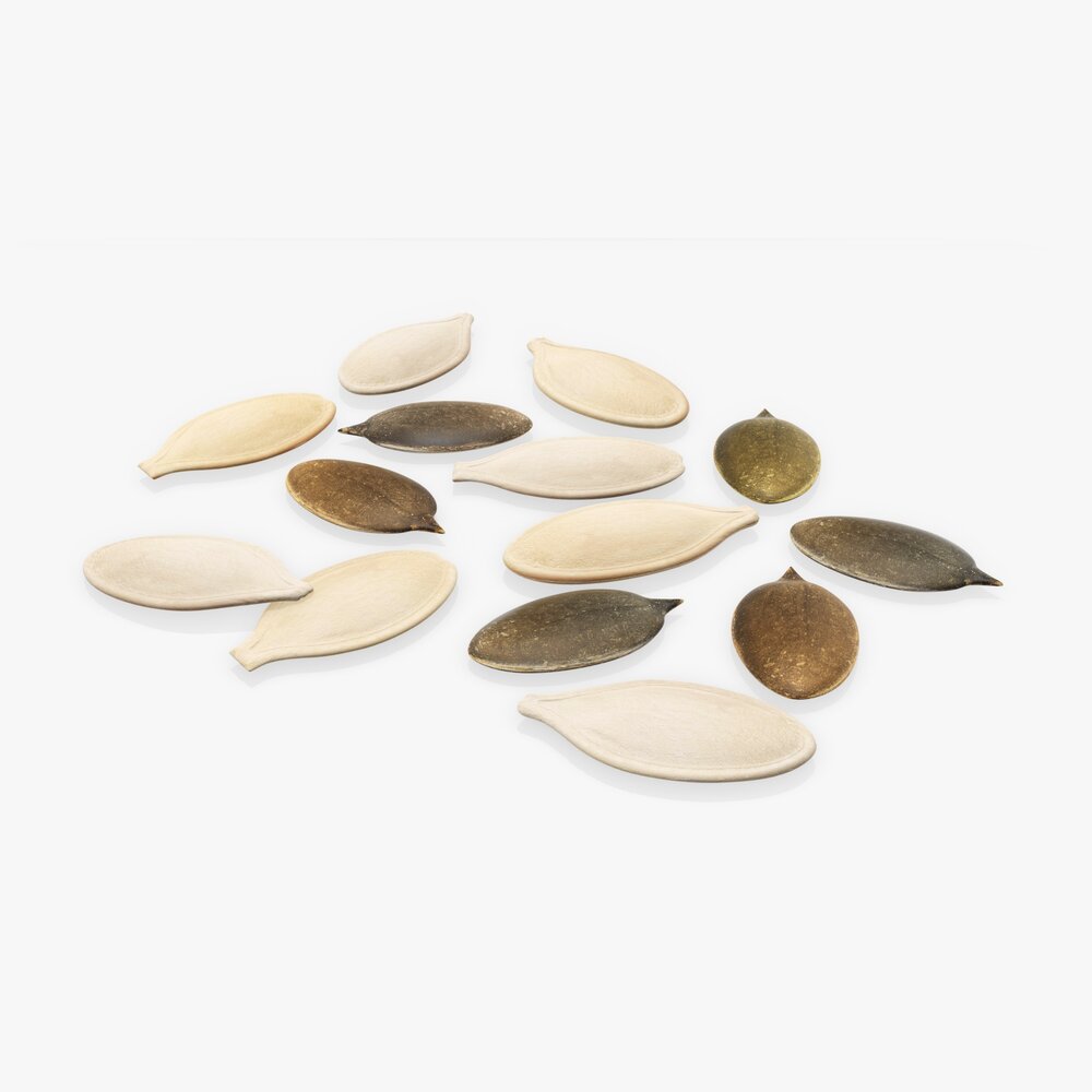 Pumpkin Seeds 3D model - Download Nuts on 3DModels.org