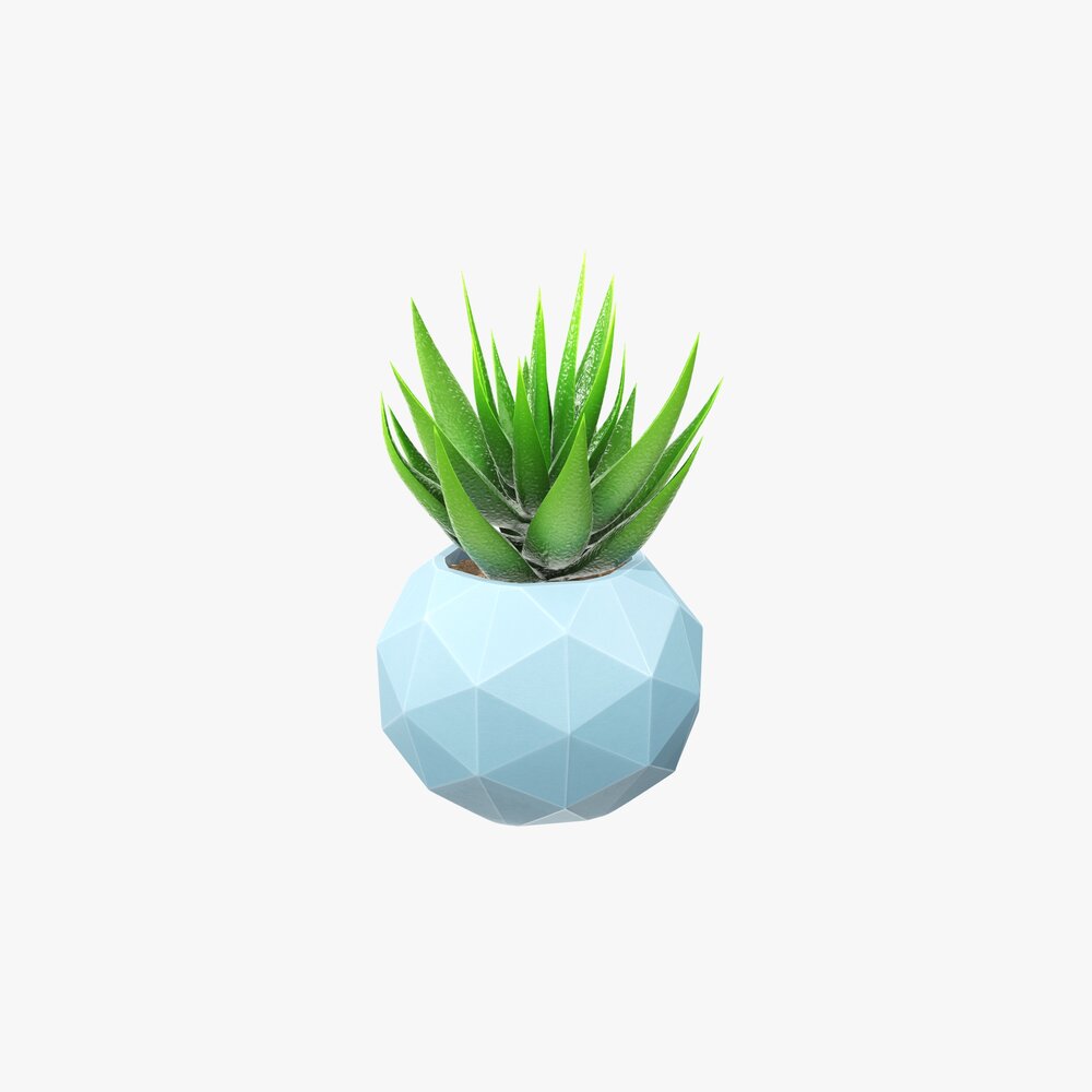 Aloe Vera Succulent in Geometric Blue Pot 3D model - Download ...