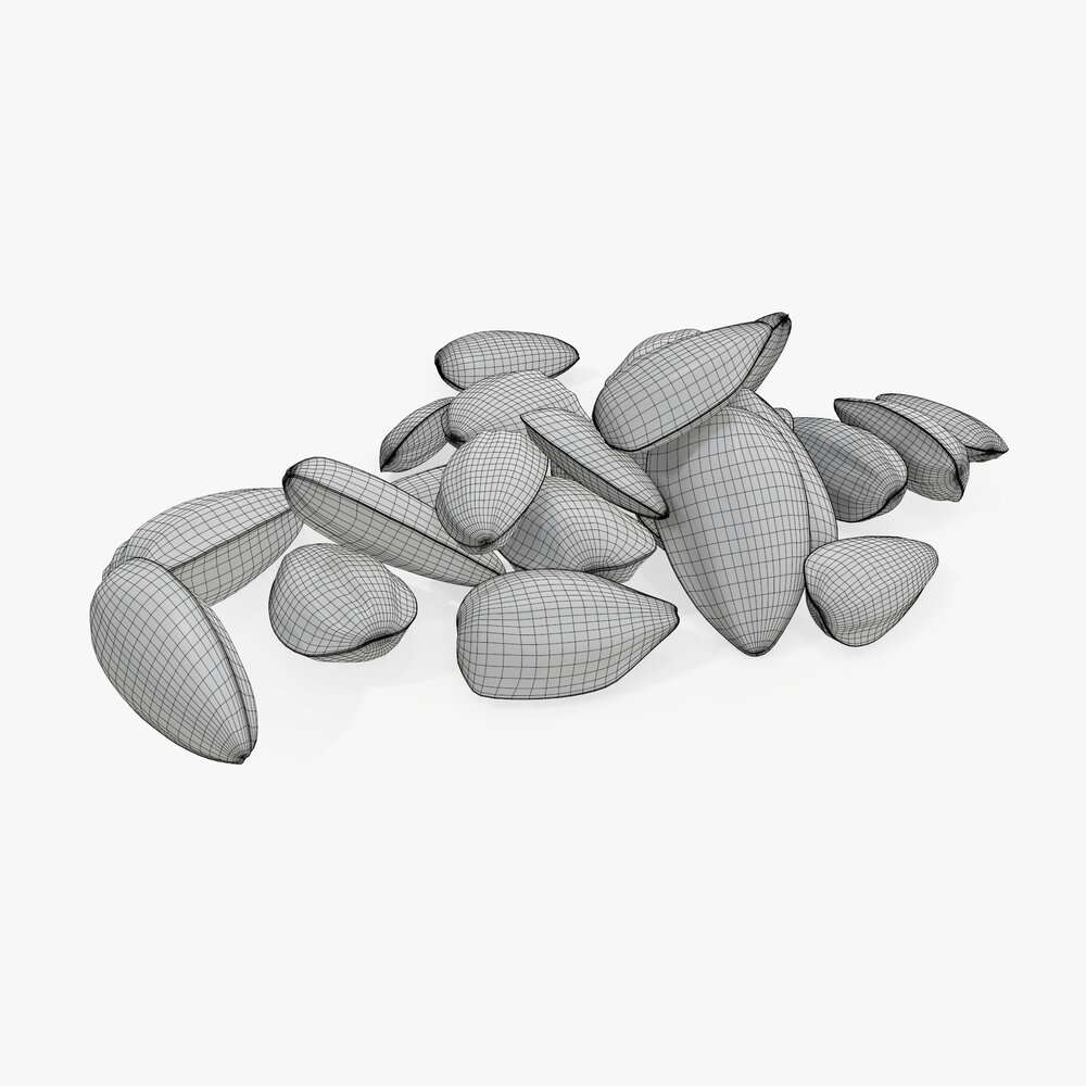 Sunflower Seeds 06 3D model - Download Nuts on 3DModels.org