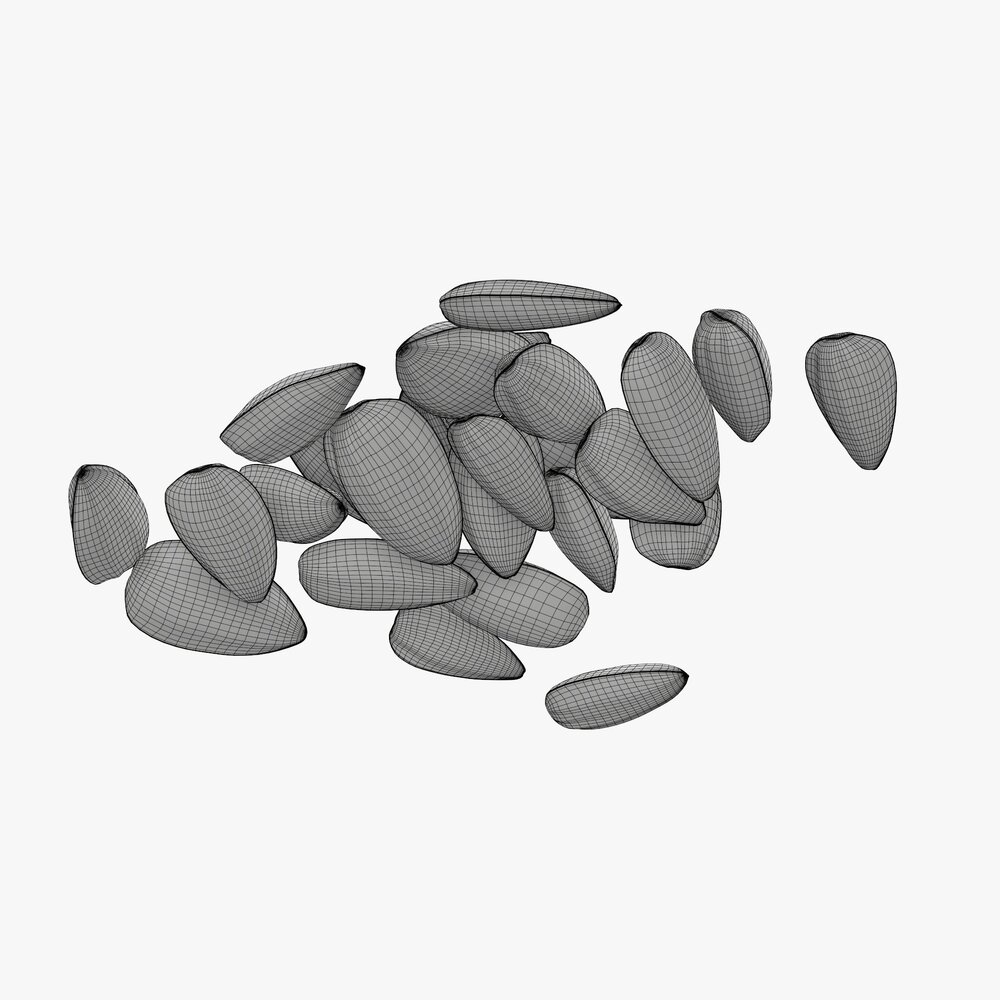 Sunflower Seeds 06 3D model - Download Nuts on 3DModels.org