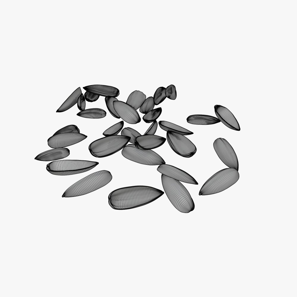 Sunflower Seeds 08 3D model - Download Nuts on 3DModels.org
