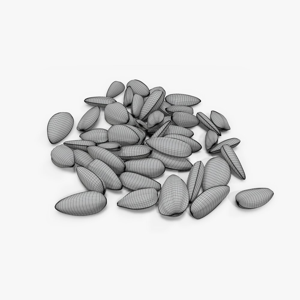 Sunflower Seeds 09 3D model - Download Nuts on 3DModels.org