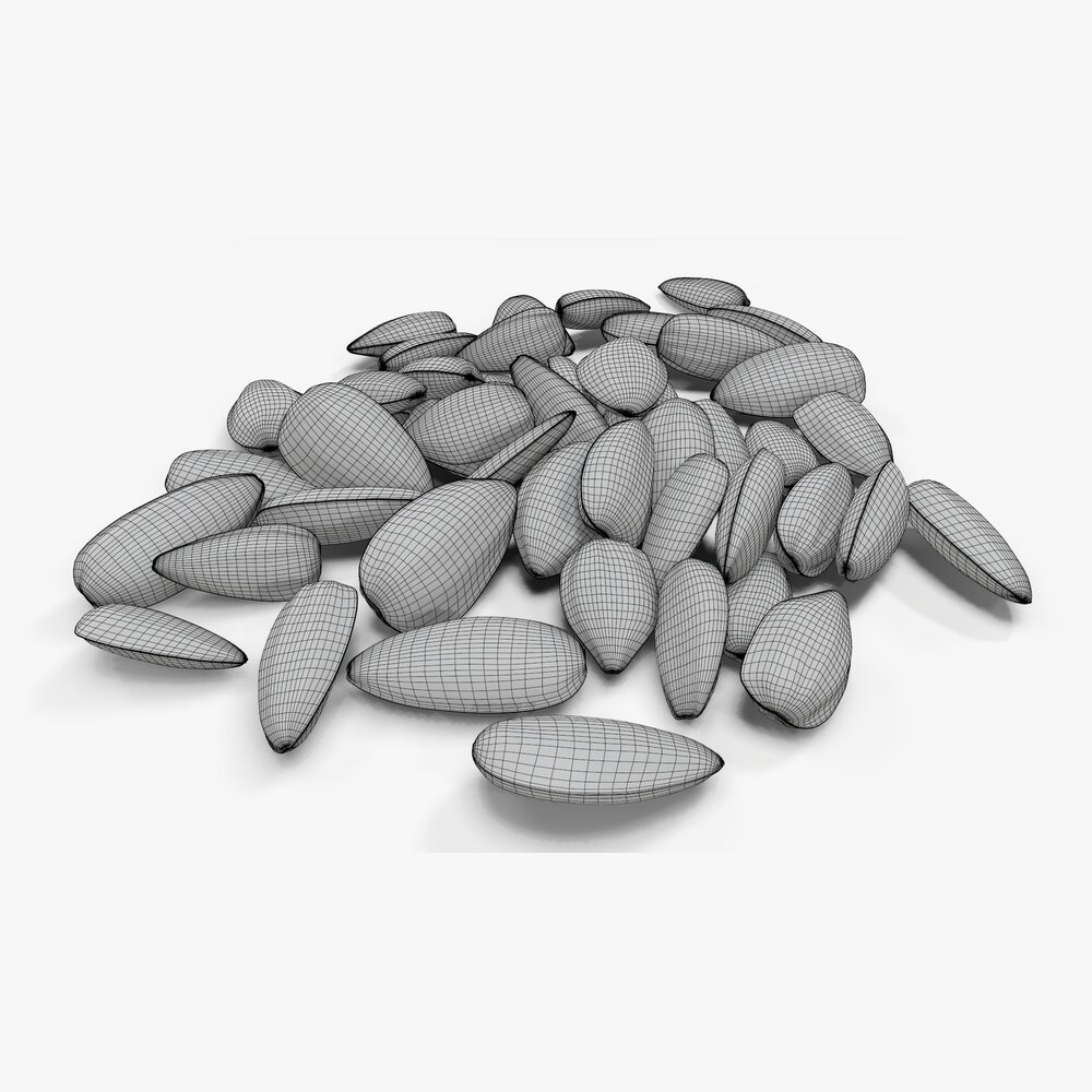 Sunflower Seeds 09 3D model - Download Nuts on 3DModels.org