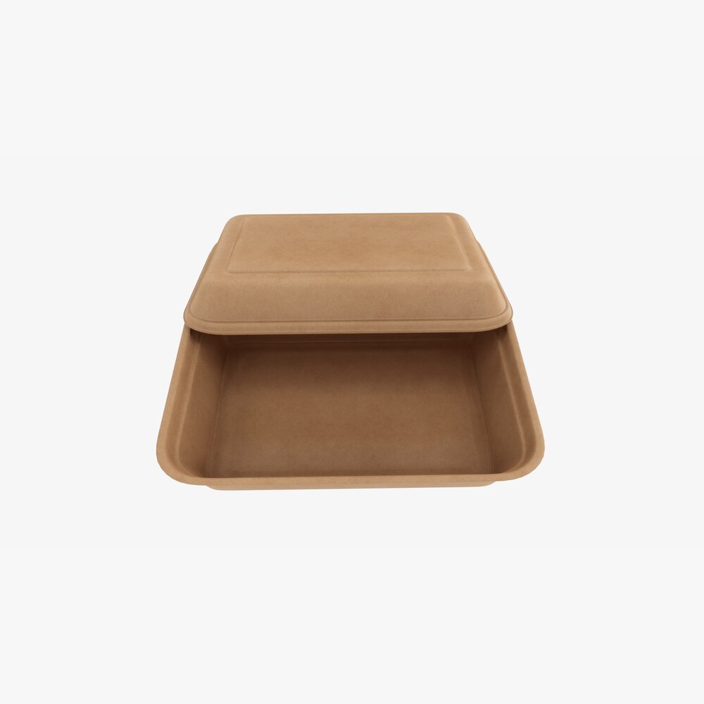 Take-out Lunch Cardboard Box 01 3D model - Download Mockup on 3DModels.org