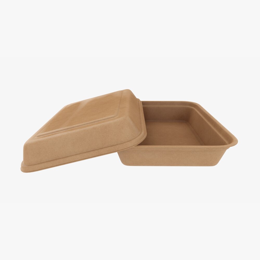 Take-out Lunch Cardboard Box 01 3D model - Download Mockup on 3DModels.org