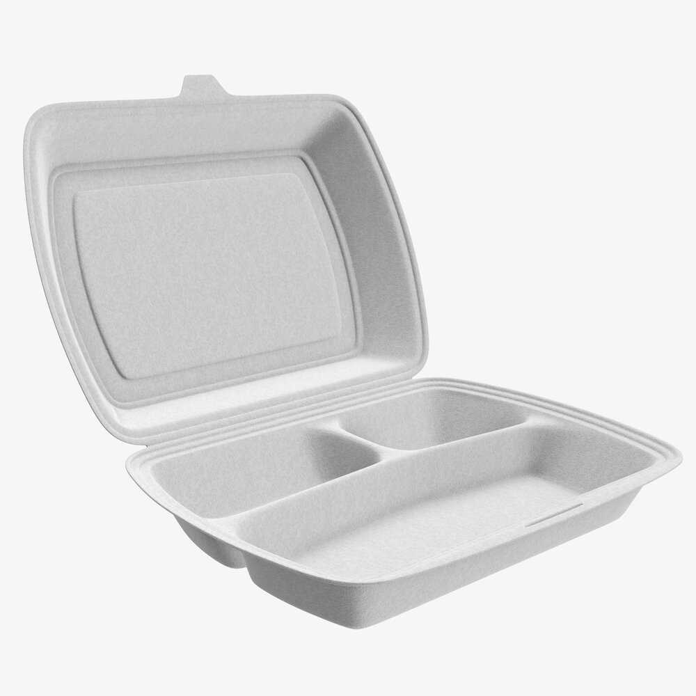 Take-out Lunch Polystyrene Box 02 3D model - Download Mockup on ...