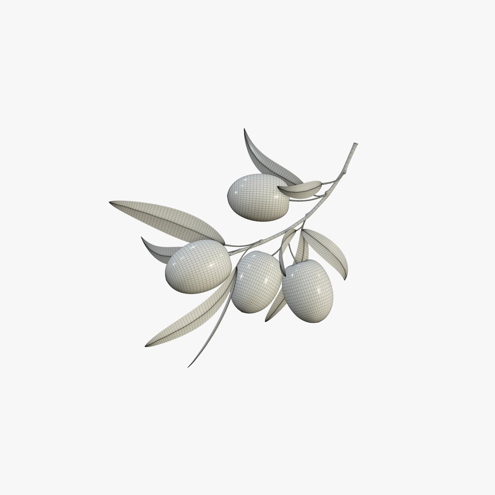 Olive Branch With Leaves 3D model - Download Fruit on 3DModels.org