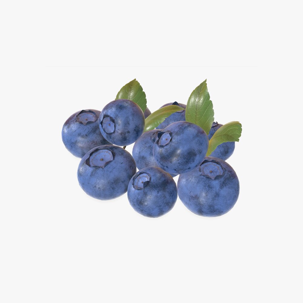 Blueberries 3D model - Download Fruit on 3DModels.org
