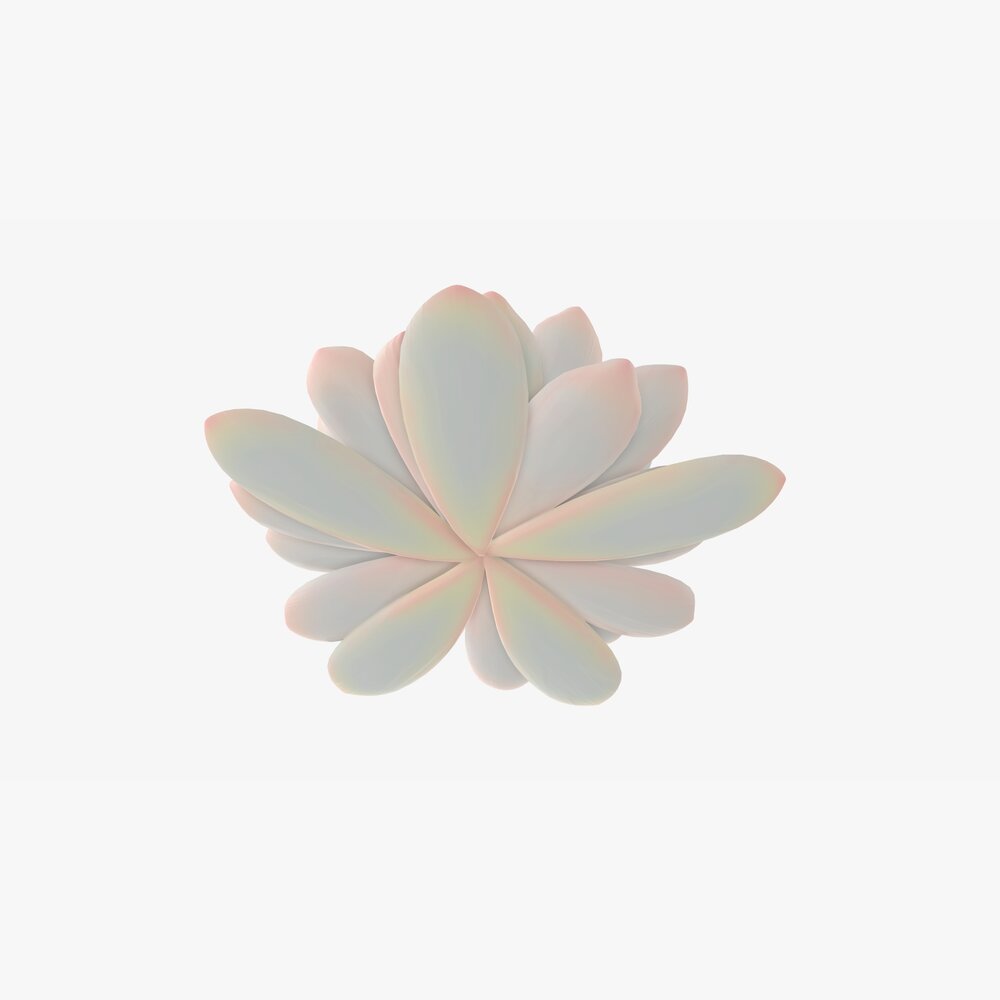 Water Lily White Flower 3D model - Download Flowers on 3DModels.org