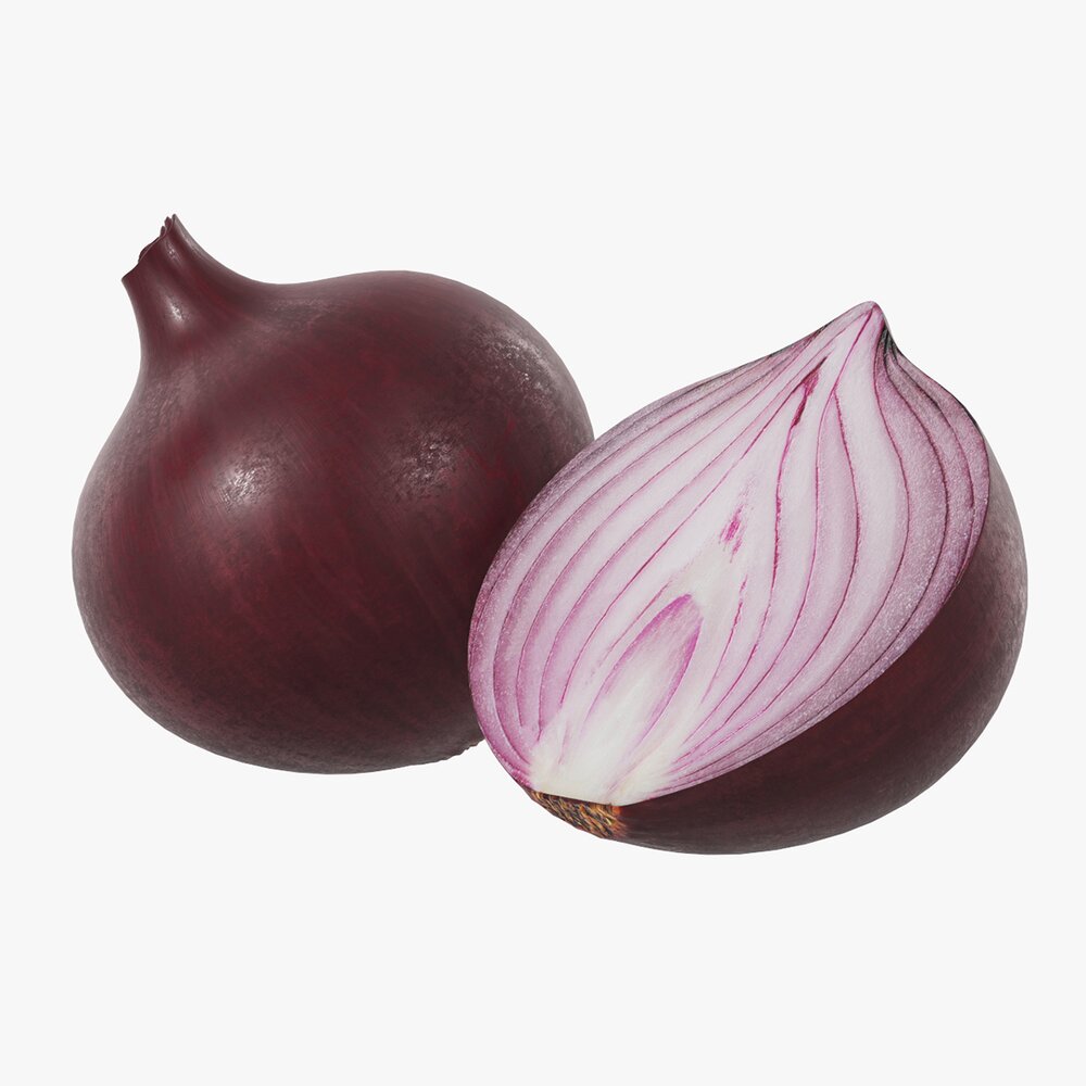 Onion 3D model - Download Vegetables on 3DModels.org