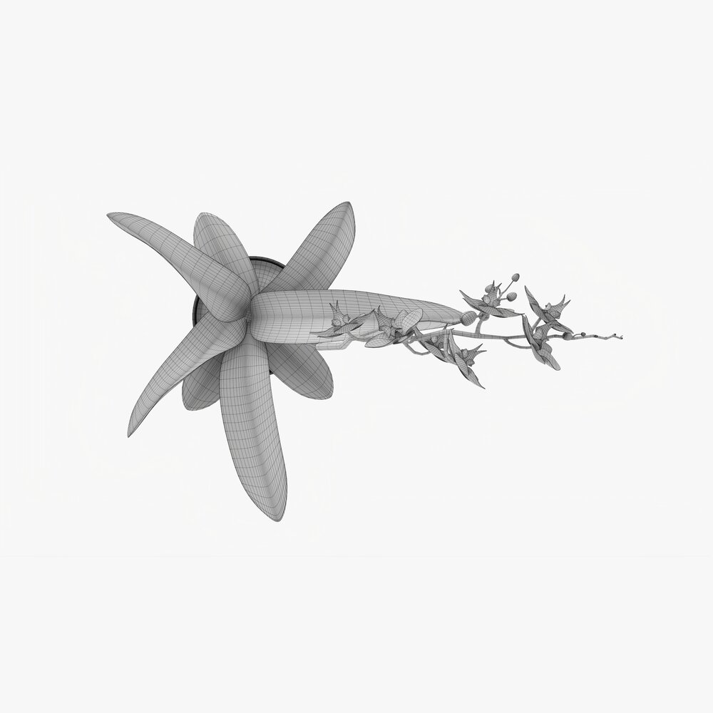 Orchid Flower In Pot 3D model - Download Flowers on 3DModels.org
