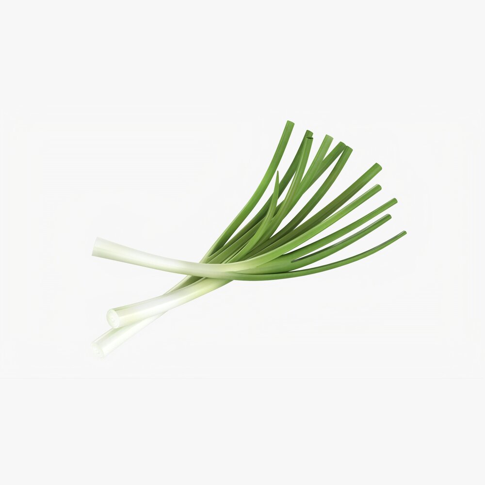 Spring Onions 01 3D model - Download Vegetables on 3DModels.org