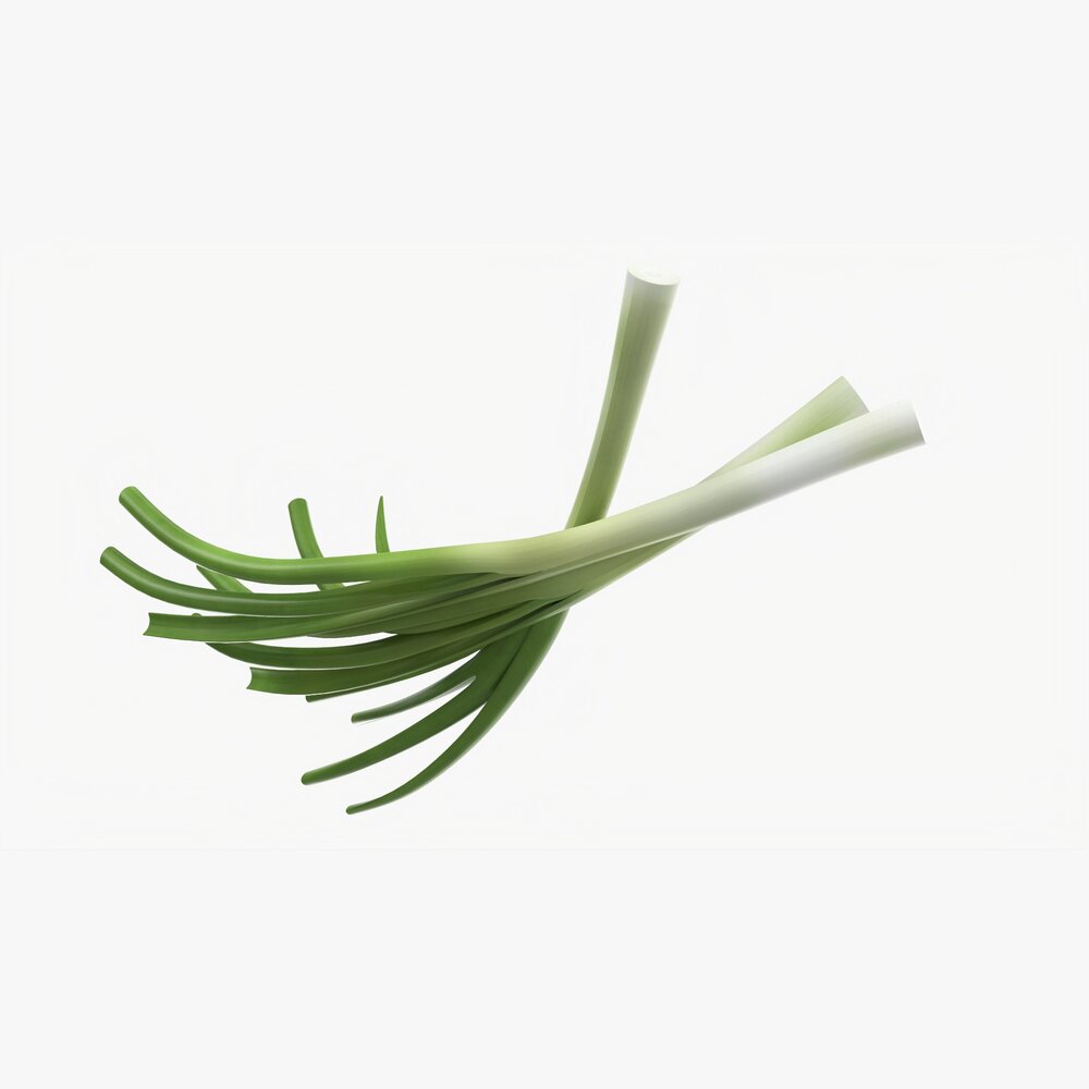 Spring Onions 01 3D model - Download Vegetables on 3DModels.org