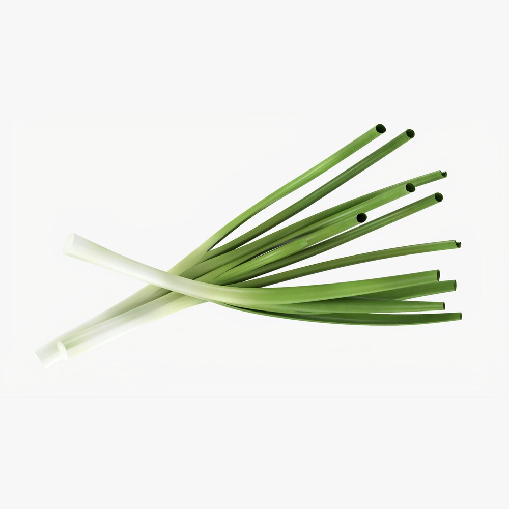 Spring Onions 01 3D model - Download Vegetables on 3DModels.org