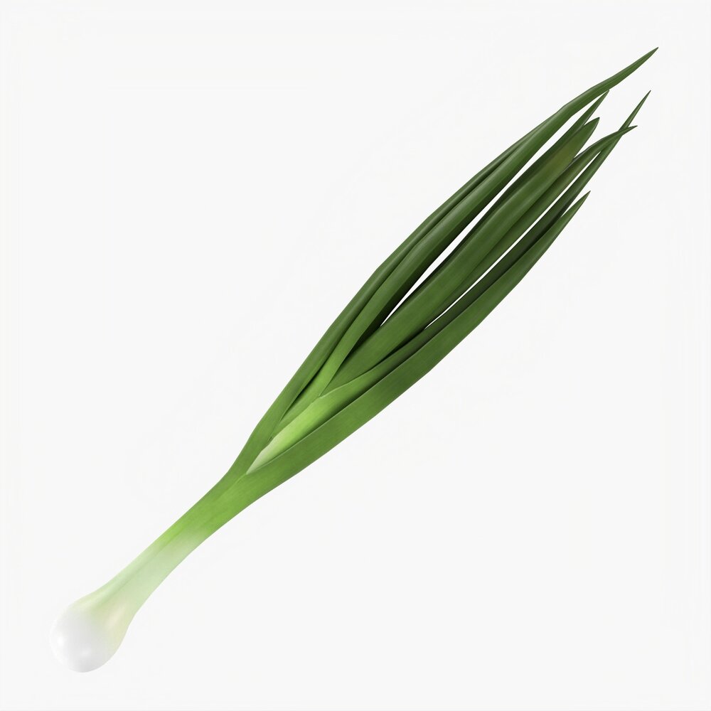 Spring Onions 04 3D model - Download Vegetables on 3DModels.org
