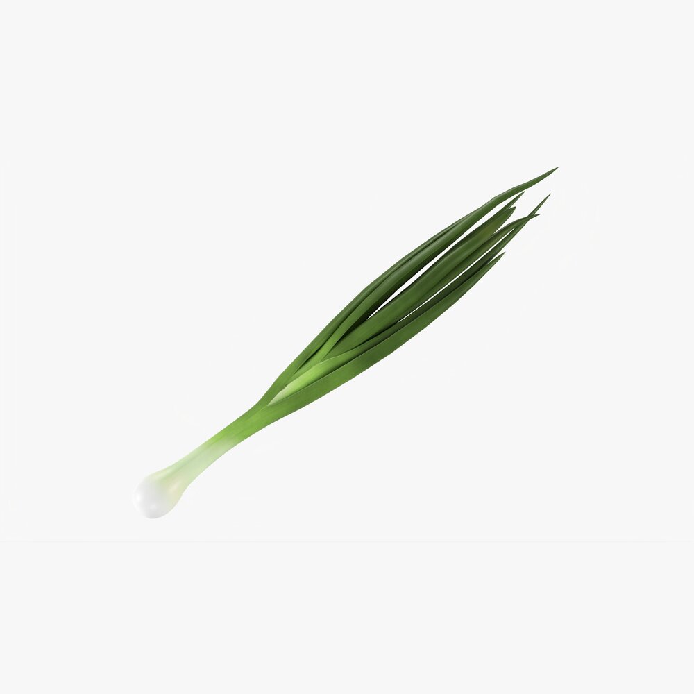 Spring Onions 04 3D model - Download Vegetables on 3DModels.org