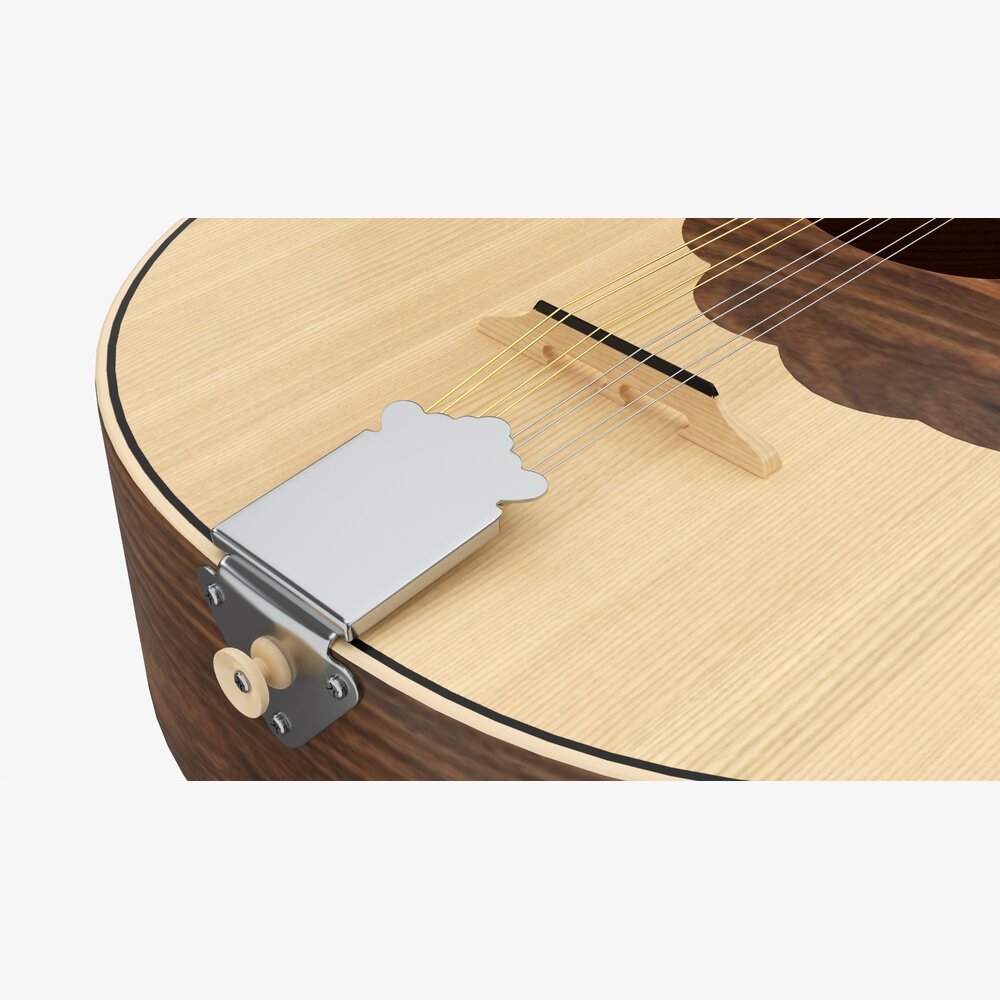 Irish Bouzouki String Instrument 3D model - Download Musical ...