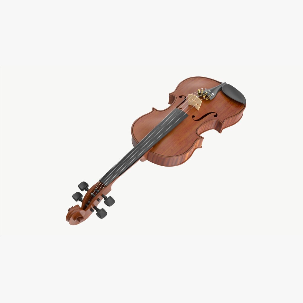 Violín Acústico con Accesorios de Ébano y Cuerpo de Arce Modelo 3D ...