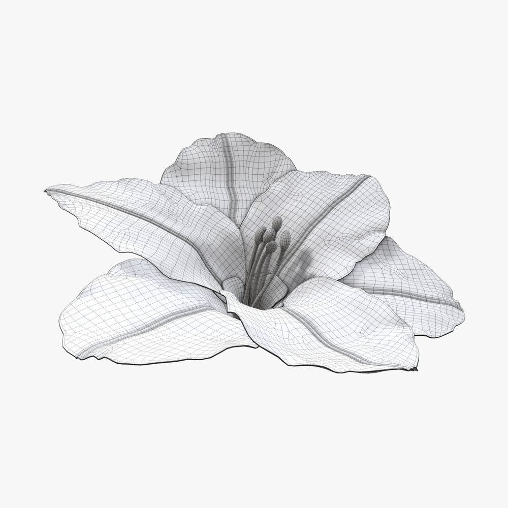 Artificial Lily Flower 3D model - Download Flowers on 3DModels.org
