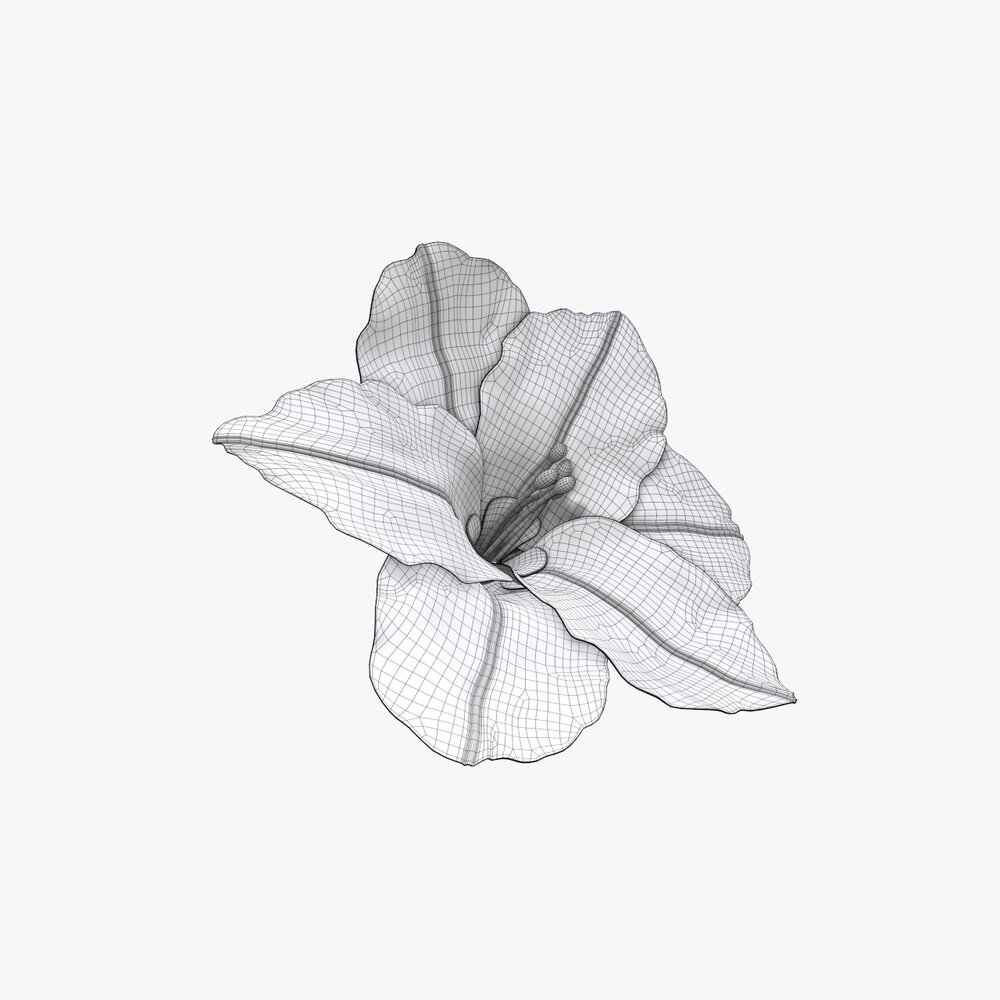 Artificial Lily Flower 3D model - Download Flowers on 3DModels.org