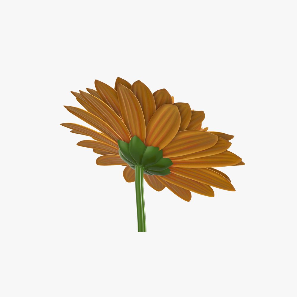 Gerbera Flower 3D model - Download Flowers on 3DModels.org