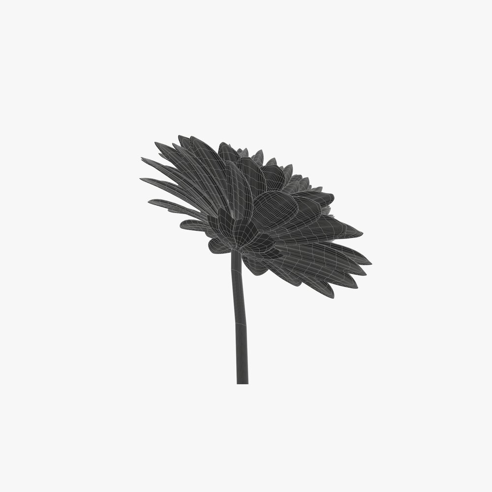 Gerbera Flower 3D model - Download Flowers on 3DModels.org