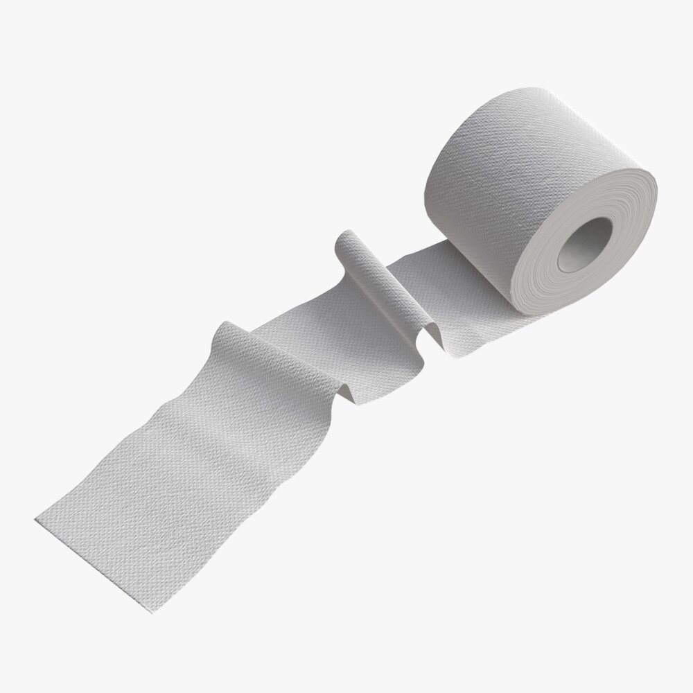 Toilet Paper Roll With Unrolled Part 3D model - Download Health and ...