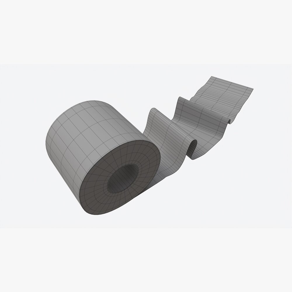 Toilet Paper Roll With Unrolled Part 3D model - Download Health and ...