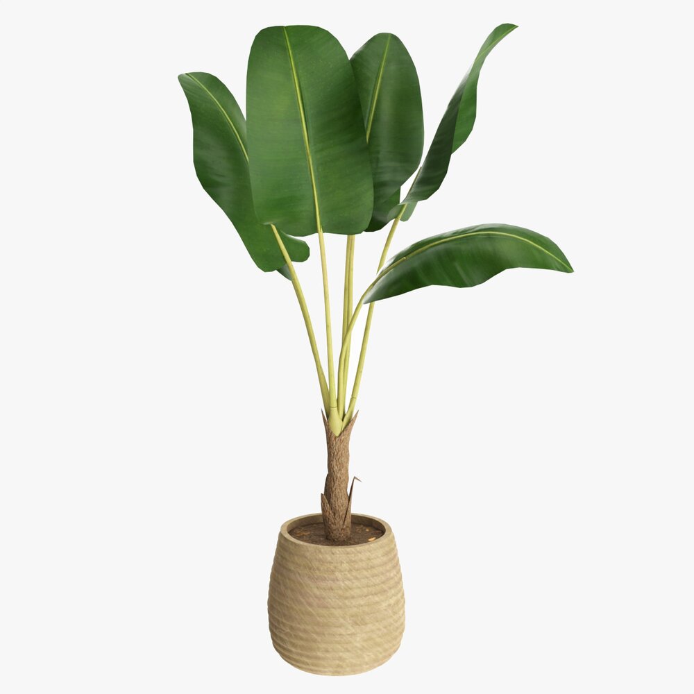 Baa Artificial Plant With Plantpot 3D model - Download Houseplants on ...