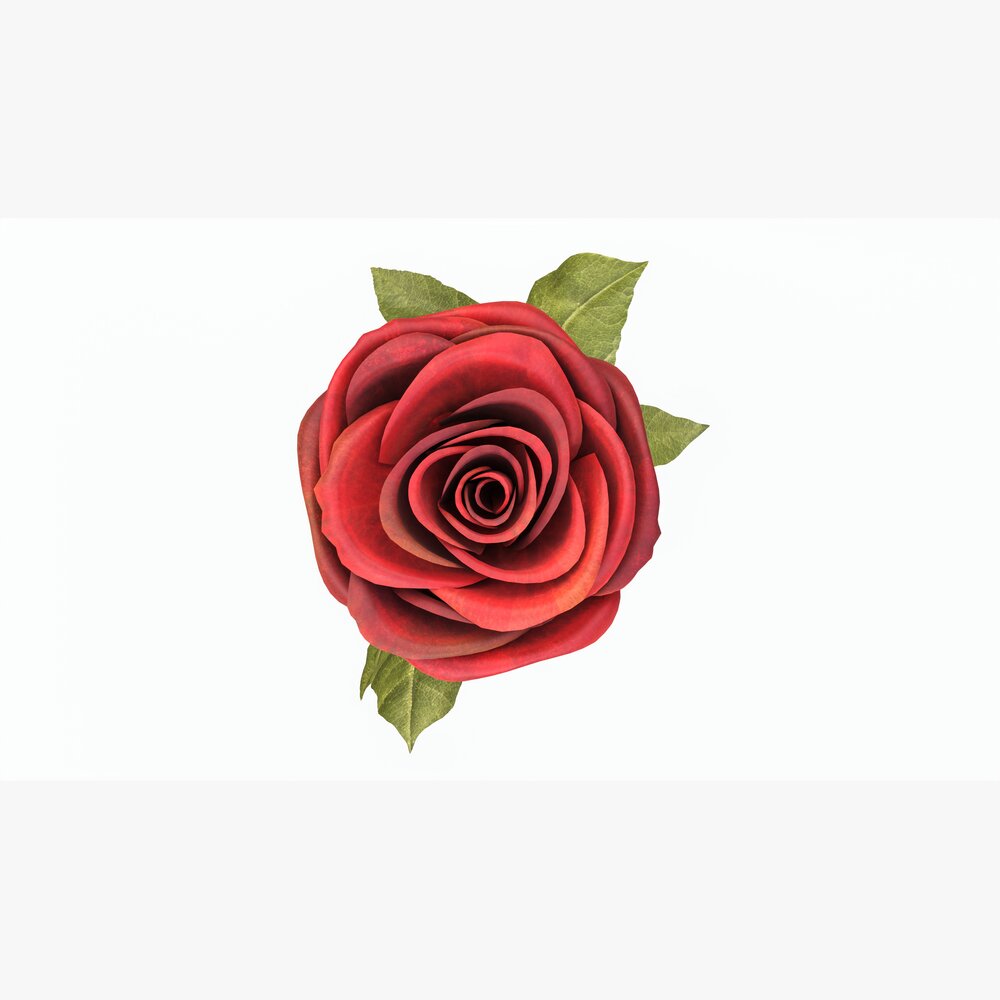 Single Beautiful Red Rose 3D model - Download Flowers on 3DModels.org