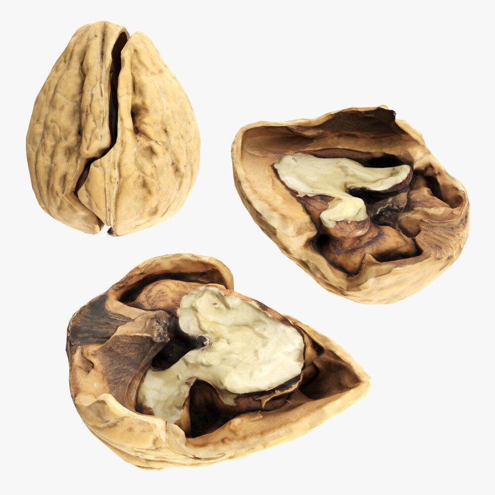 Walnut Half 3D model - Download Nuts on 3DModels.org
