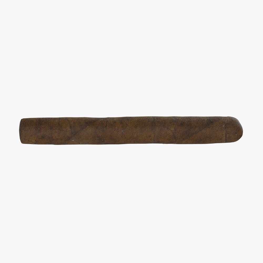 Cigar 3D model - Download Hobbies on 3DModels.org