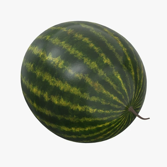 수박 3D 모델 다운로드 - 3DModels.org