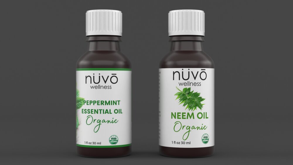 Organic Essential Oil Collection 3D model - Download Health and Beauty ...