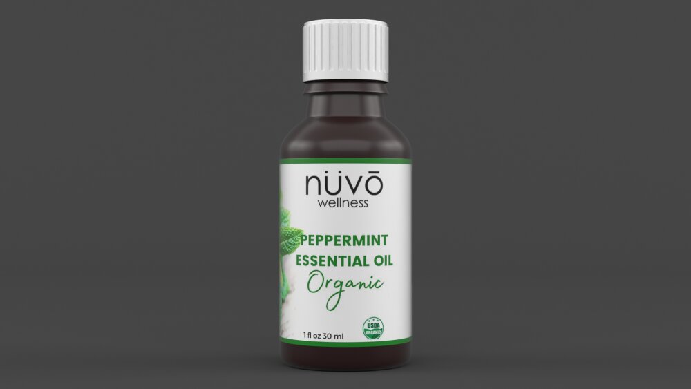 Organic Essential Oil Collection 3D model - Download Health and Beauty ...