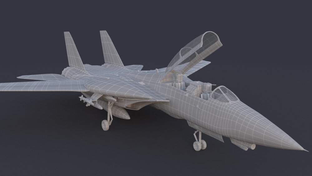 F 14 Tomcat 3D model - Download Fighter on 3DModels.org